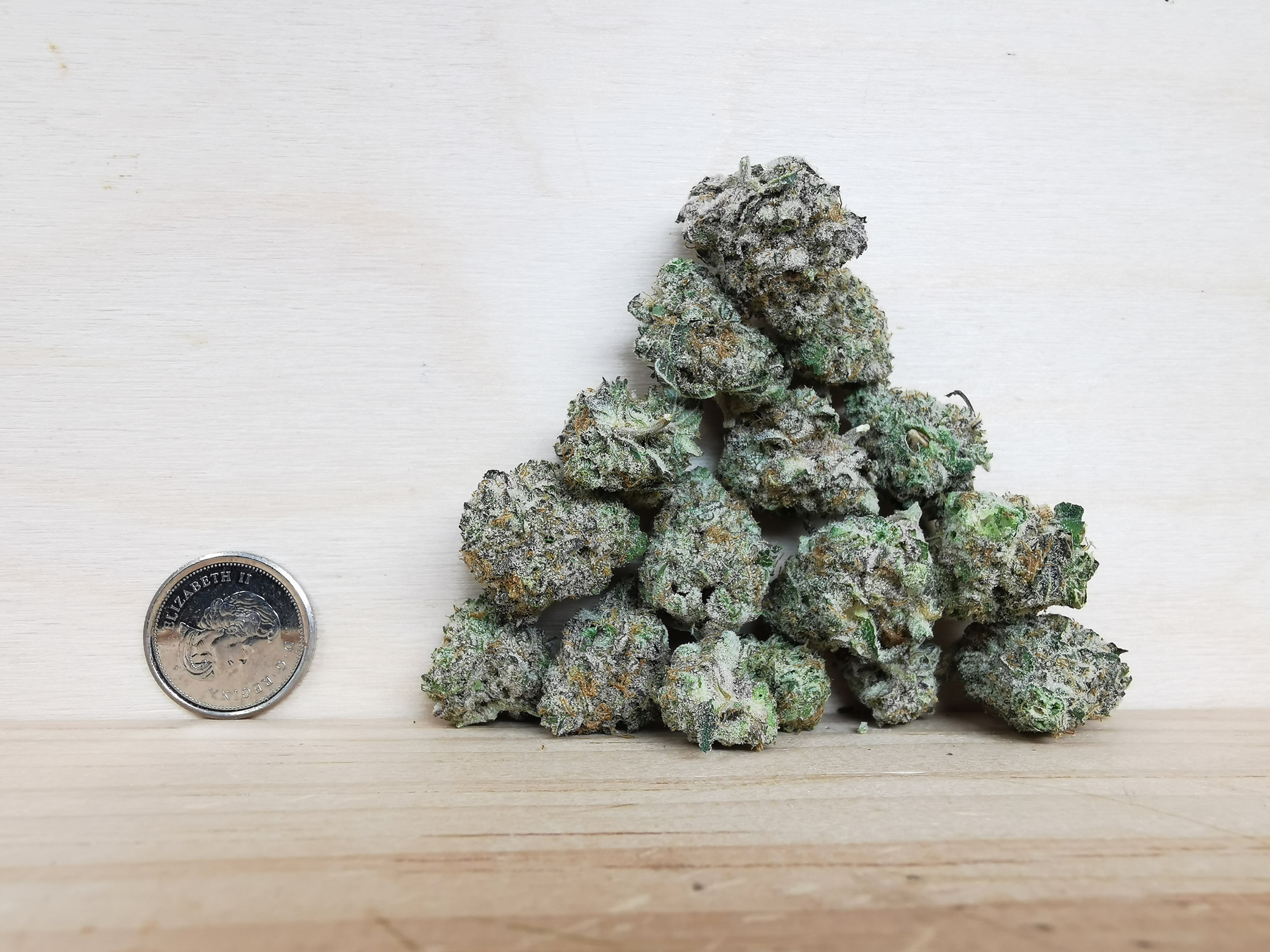 Biscotti Gushers - Marijuana Flowers, Buy Weed Online Canada